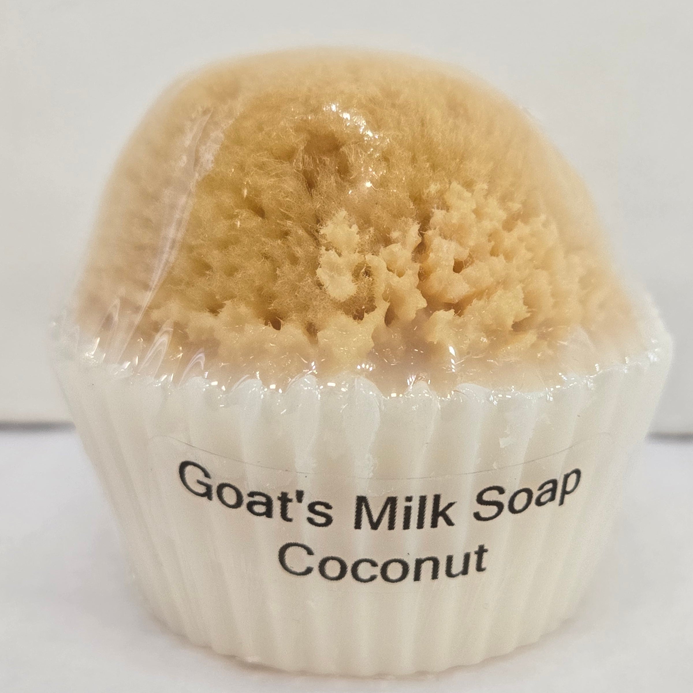 coconut soap sponge